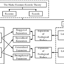 Ecological niche theory relationship diagram.