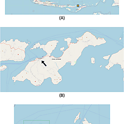 Map of Lewoleba (Lembata, East Nusa Tenggara) and Likupang (North ...