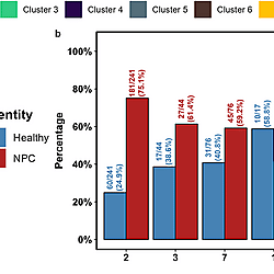 Phylogenetic and population structure analysis.