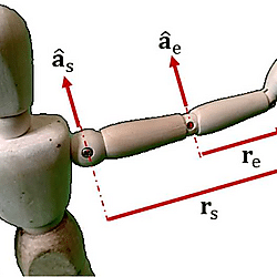 A singular configuration in the human arm.