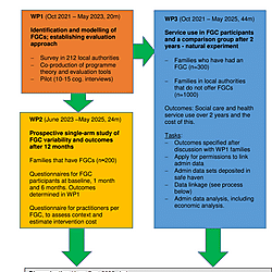 Flow chart of study work packages.