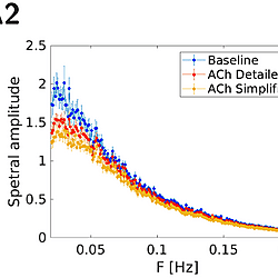 Comparison of detailed model of cholinergic modulation and its simplified version.