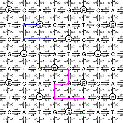 Illustration of a pair of complementary DNA sequences on the DNA wallpaper.