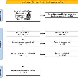 PRISMA diagram of the included studies.