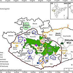 Map of the study area in Gir landscape, western India.