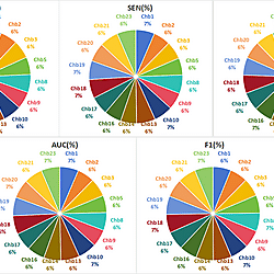 Pie charts of individual patient performance indicators.