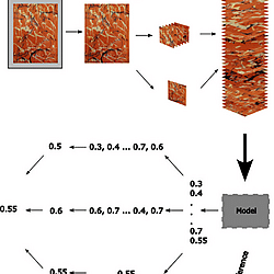 A flow diagram of the image pre-processing, data partitioning, and ...