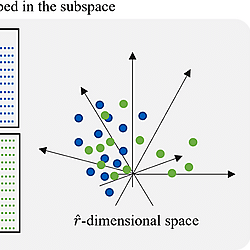 Framework of the proposed CPD-DM method.