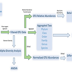 Analytical flowchart.