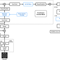 Improved Vision Transformer network structure.