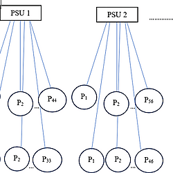 A schematic diagram of the nested multilevel structure of the data.