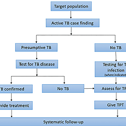 Cascade of TB case finding and preventive treatment.