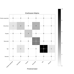 Proof-of-concept confusion matrix.