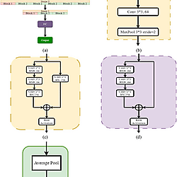 Architecture of ResNet50.