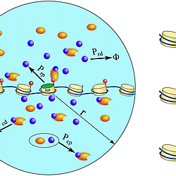 Schematic of the reaction-diffusion model in which each lattice site ...