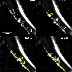 Still images from a high speed video of the bend of tip 1 at power 10 ...