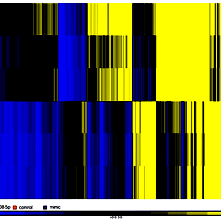 Heat map of mRNA microarray expression data.