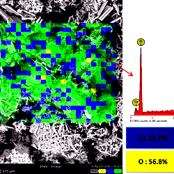 SEM-EDS elemental map analysis of the specimen heated at 500°C.