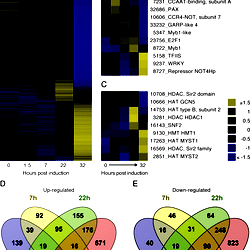 Developmental regulation of the transcriptome along the trajectory of ...