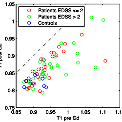 T1 values before and after the injection of contrast agent.