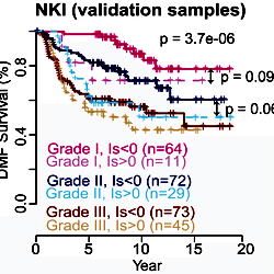 Multivariate analysis of the model combing GSP and tumor grade improves ...