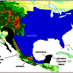Range map of the Cardinalis cardinalis lineages.