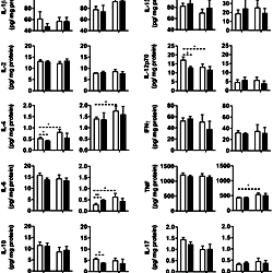 Effect of iron overload on the capacity of the mouse to induce the ...