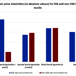 Own-price elasticities for SSB and non-SSB by budget tercile.