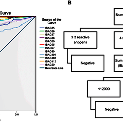 Receiver Operating Characteristic (ROC) curve and Decision tree.
