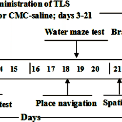 Experiment schedule.