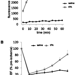tPA activity measures.
