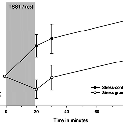 Course of WST-1 reduction over time in the stress and stress-control group.