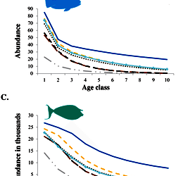 Age-class distributions of (left) target invertivorous fish (e.g. goat ...