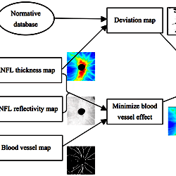 Flowchart of converting a 3D OCT image into a 2D feature map.