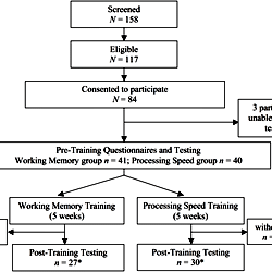 Flow chart of study design.