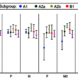 Time of the most recent common ancestor (tMRCA) of HMPV gene sequences.