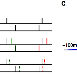 Additive STDP learning window.