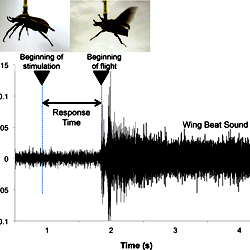The response time is the elapsed time from the beginning of the ...