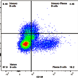 Item - B cell flow cytometry gating strategy. - Public Library of ...