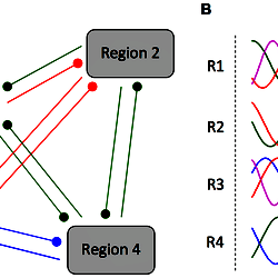 Illustration of different neuronal ensembles formed by delay selection.