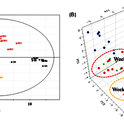 PLS-DA score plots and 3D plots.