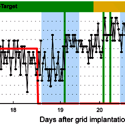 BCI control performance across days.