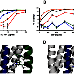 Effect of HR1 and HR2 Mutations on Drug-Resistance.