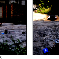 Photographs of the experimental scenes.