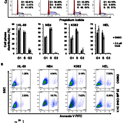 Effects of C646 on cell cycle distribution and apoptosis in AE-negative ...