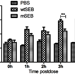 Pyrogenicity of wtSEB and mSEB proteins in a rabbit model.