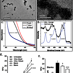 Preparation and characterization of NCe.