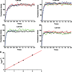 Association rate measurement using stopped flow method.