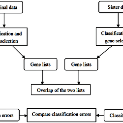 Data Flow Diagram Gene And Sarsens Register For Classes Gane