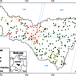 Study Area and distribution of all mosaic types.
